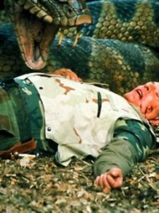 Anakonda 2. - Királykobra