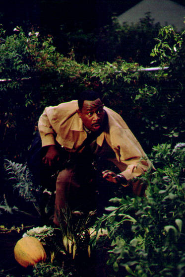 Martin Lawrence