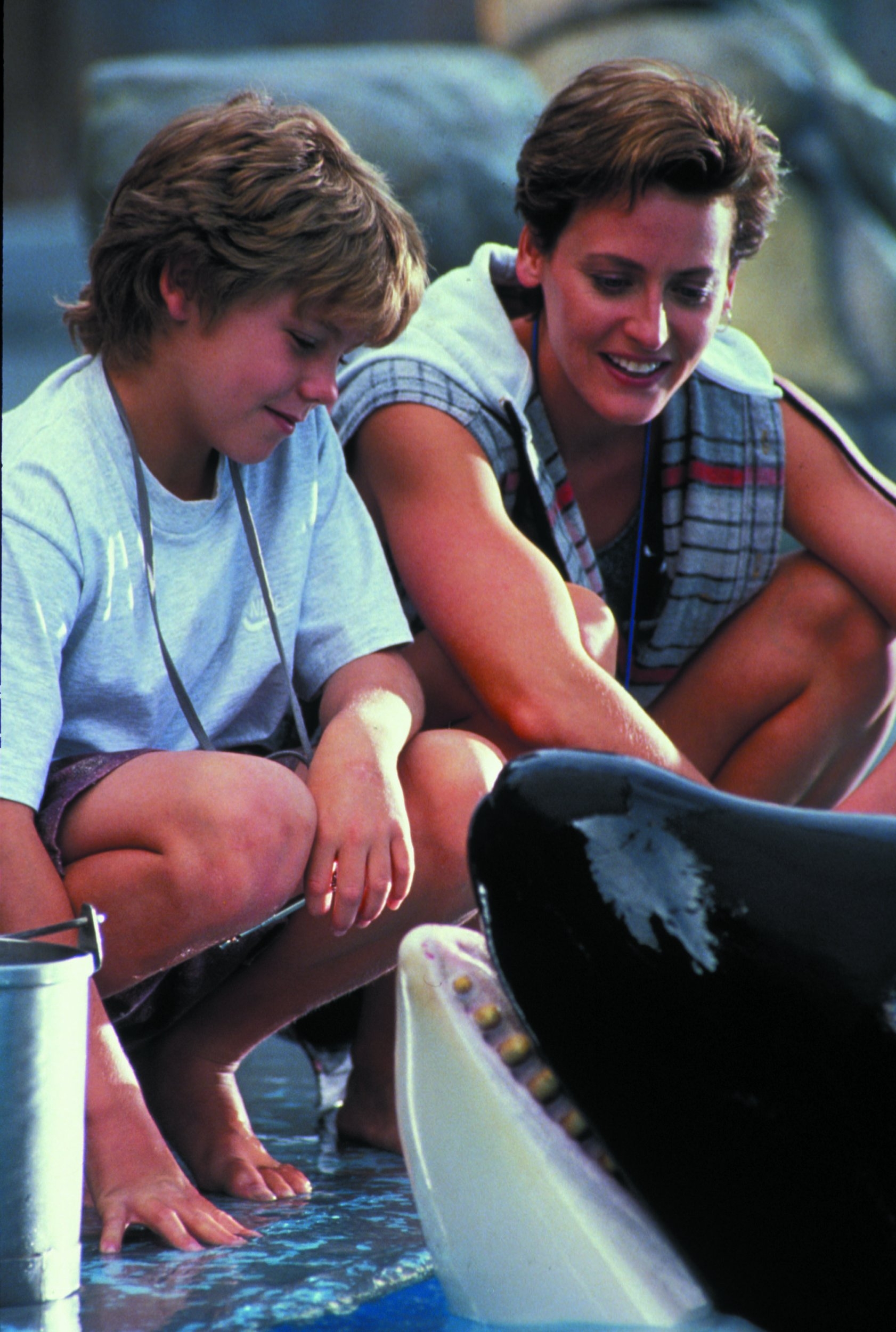 Szabadítsátok ki Willyt!