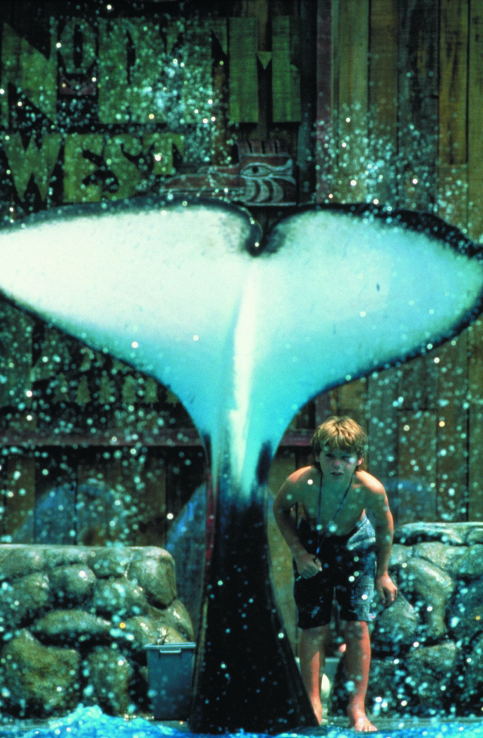 Szabadítsátok ki Willyt!