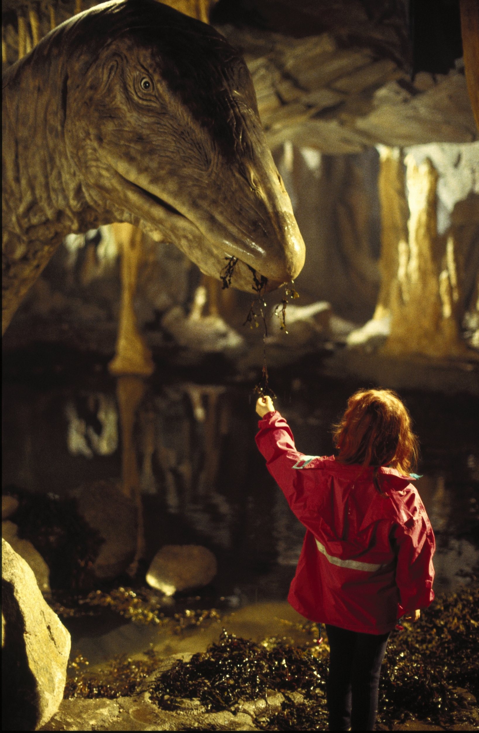 History's Greatest Mysteries Loch Ness Cast at Mary Huntsberry blog