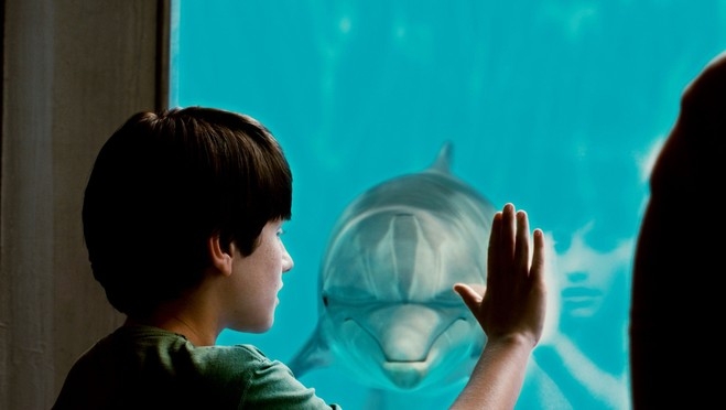 Delfines kaland