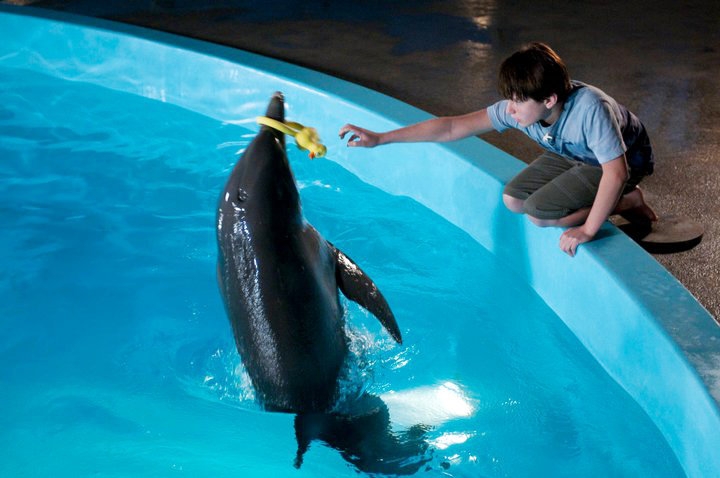 Delfines kaland