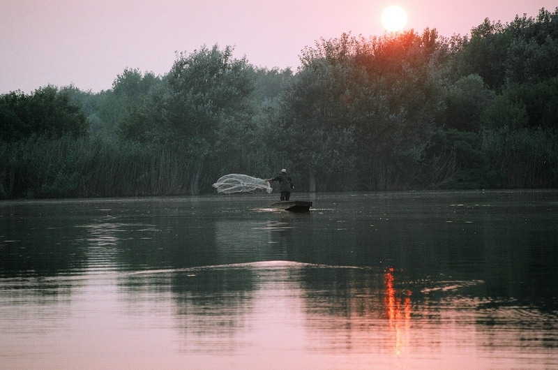 Tüskevár