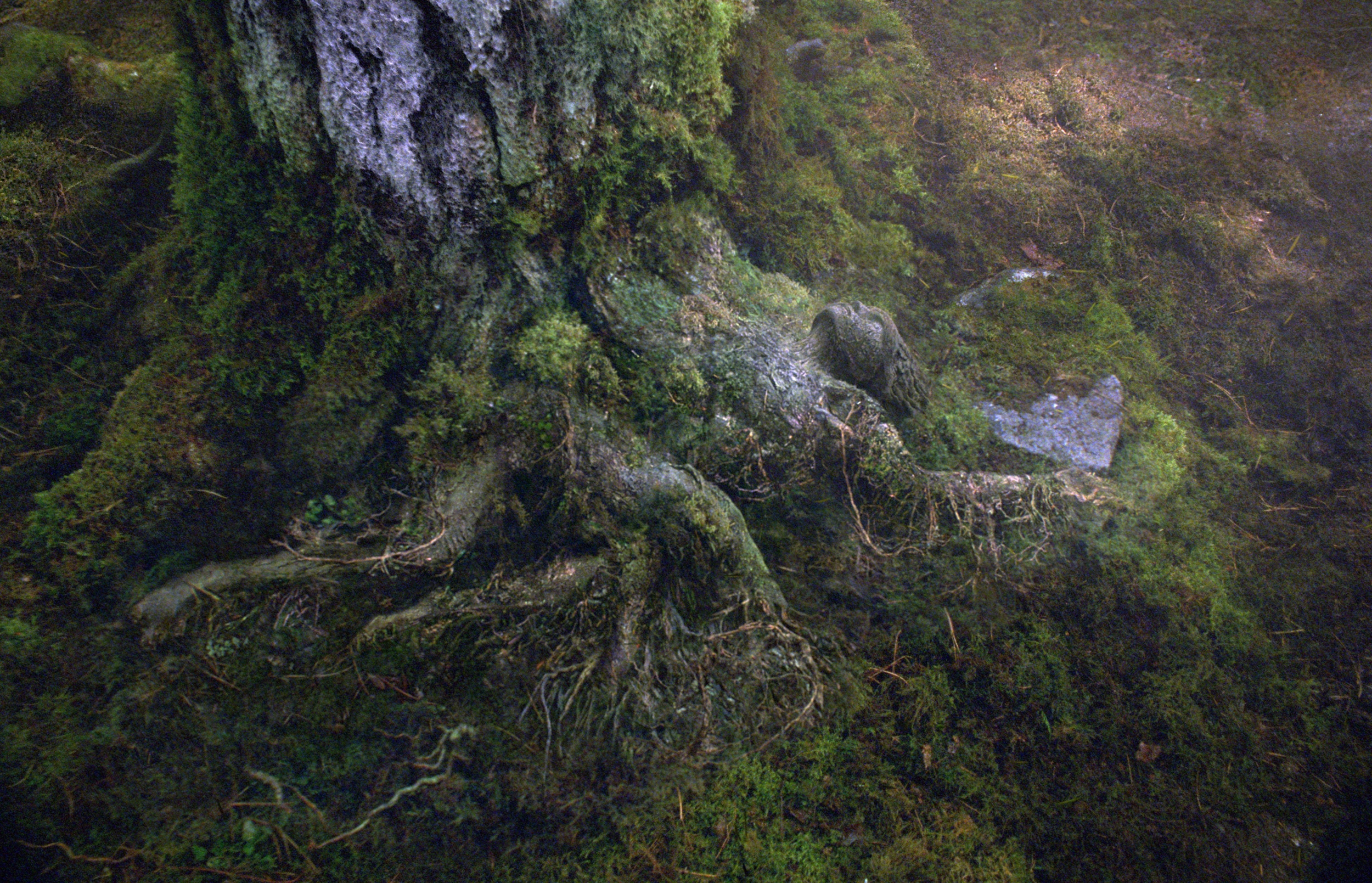 Percy Jackson – Szörnyek tengere