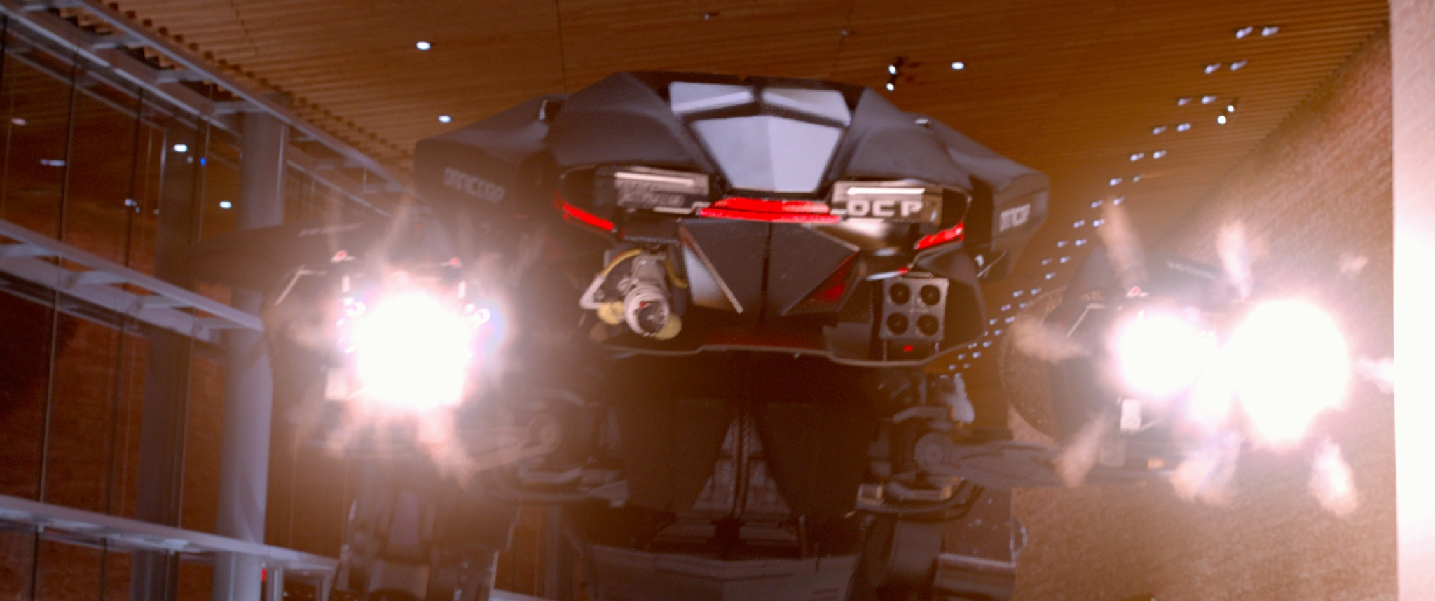 Robotzsaru