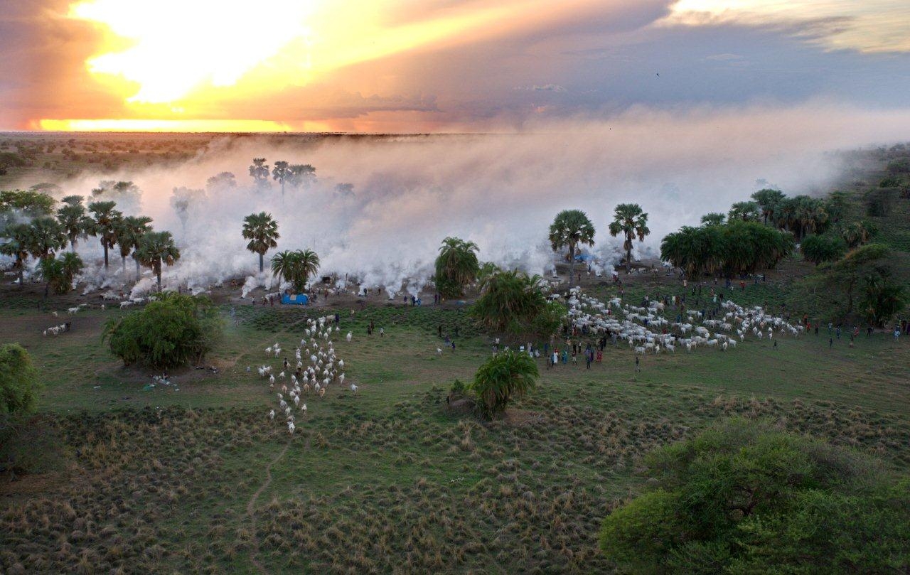 Vad Nílus / Folyó születik