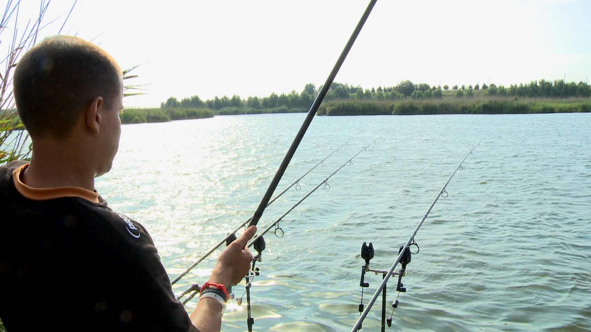 Ponty generáció / Nagy pontyok nyomában