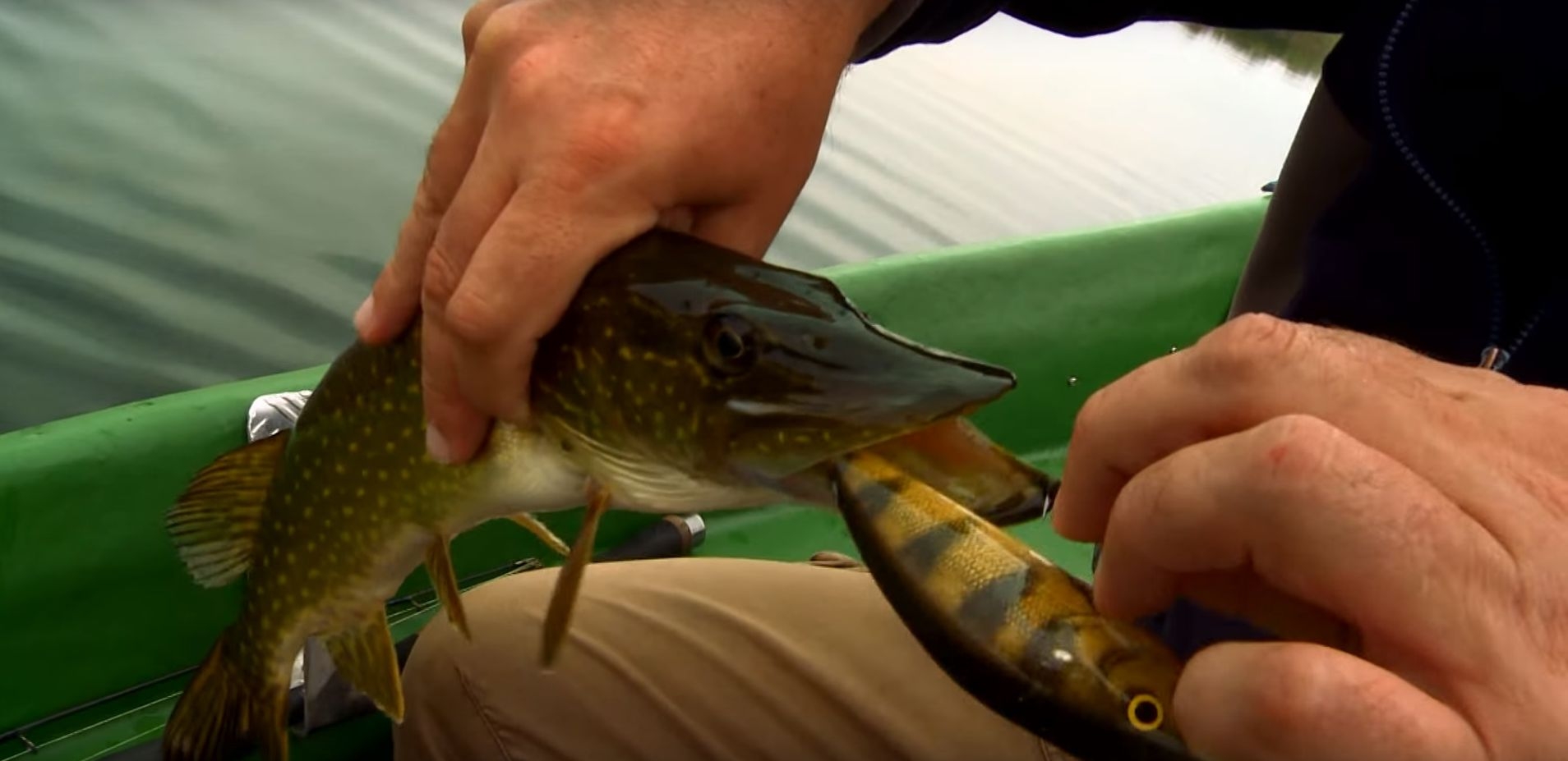 Fogas fogás / Igazi horgászidő