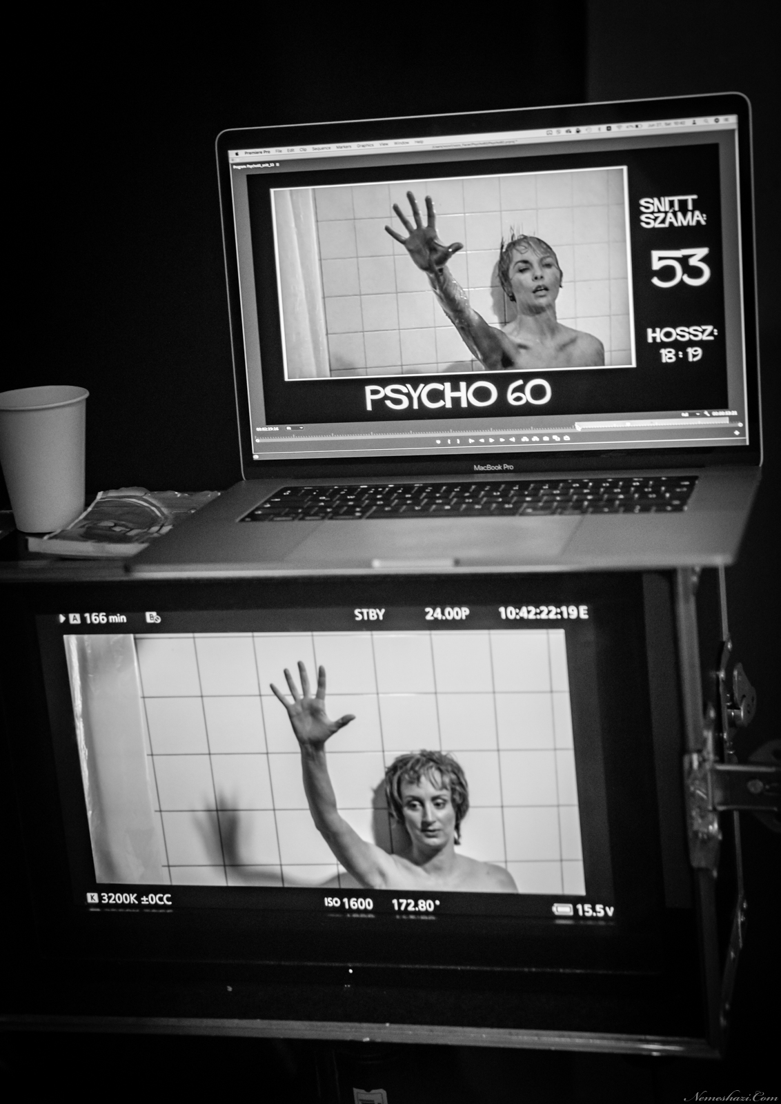 Psycho 60 - szülinapi zuhanyjelenet