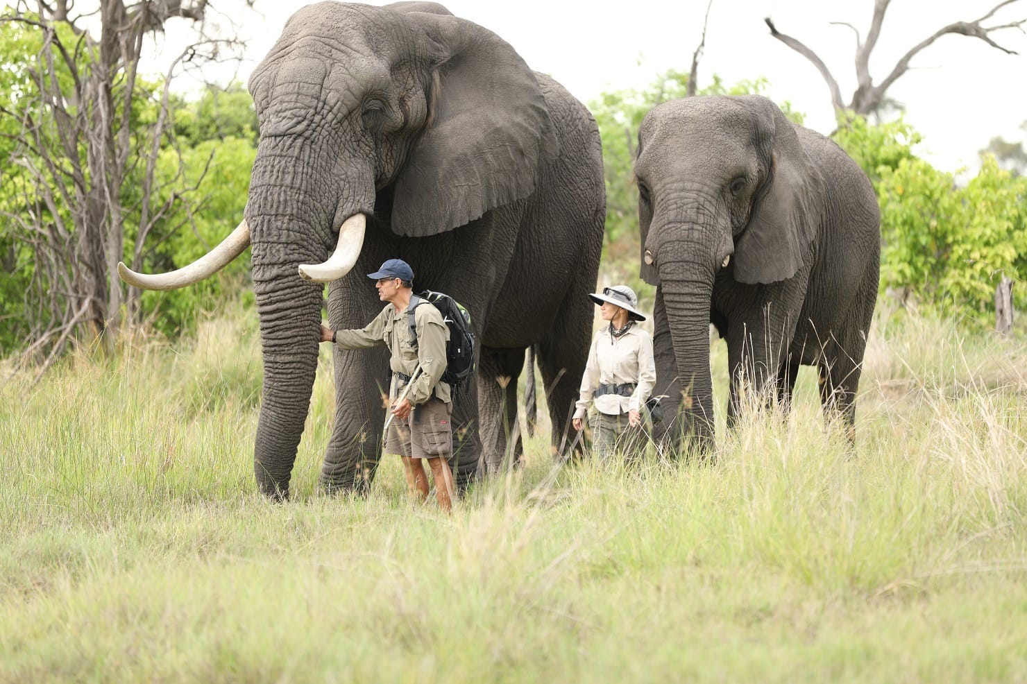 Animal Planet műsor