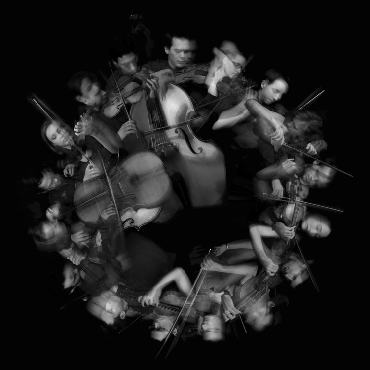 Pilz János és az Anima Musicae