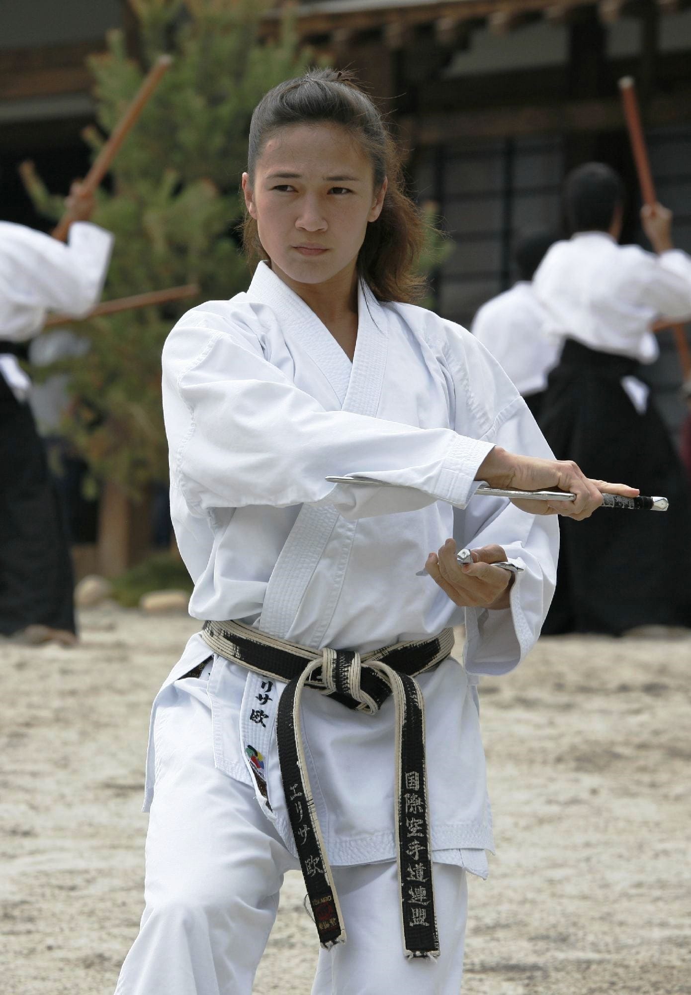 Ninja 2. - A harcos bosszúja