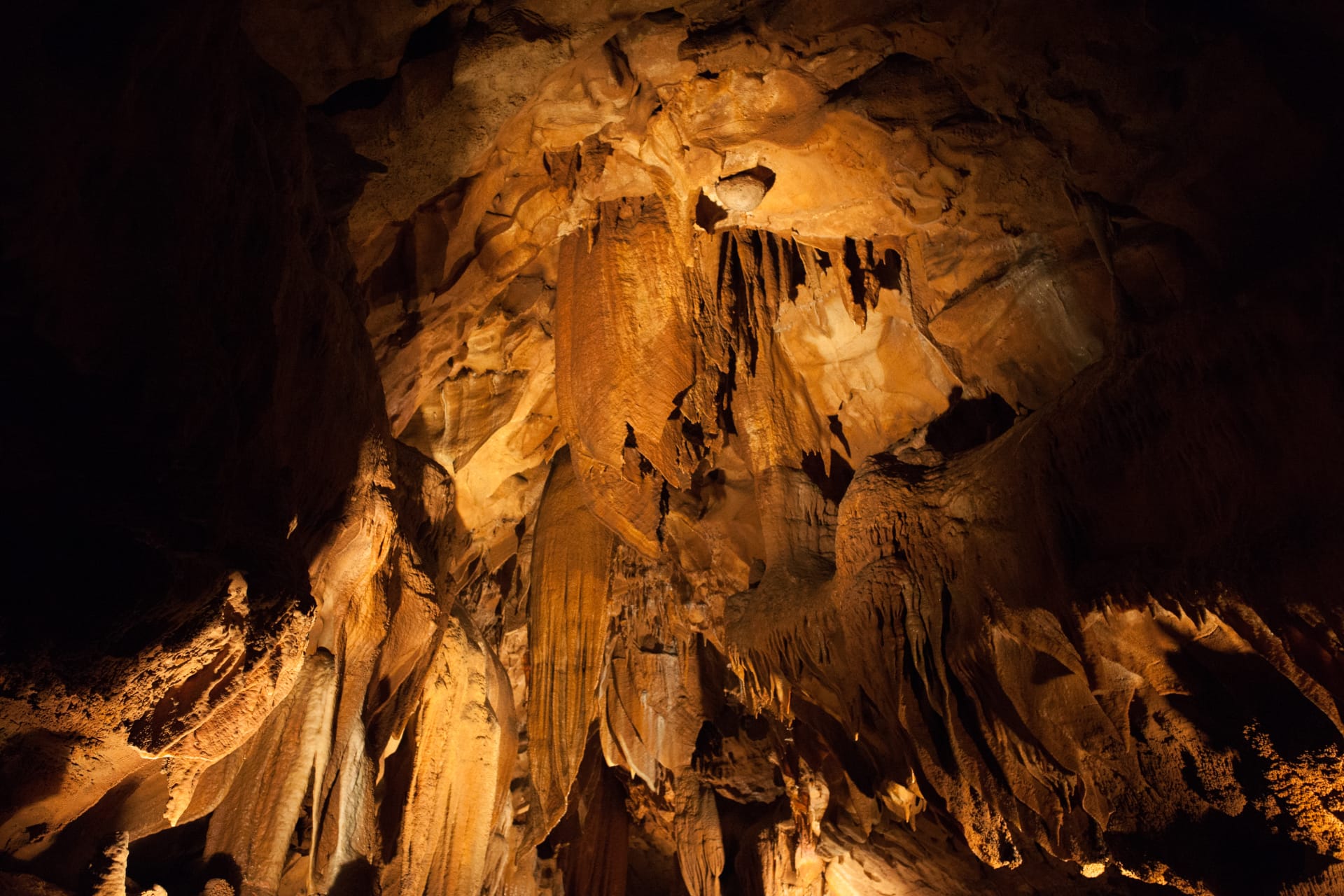A Blind Frog Ranch rejtélye / Birtokháborítók