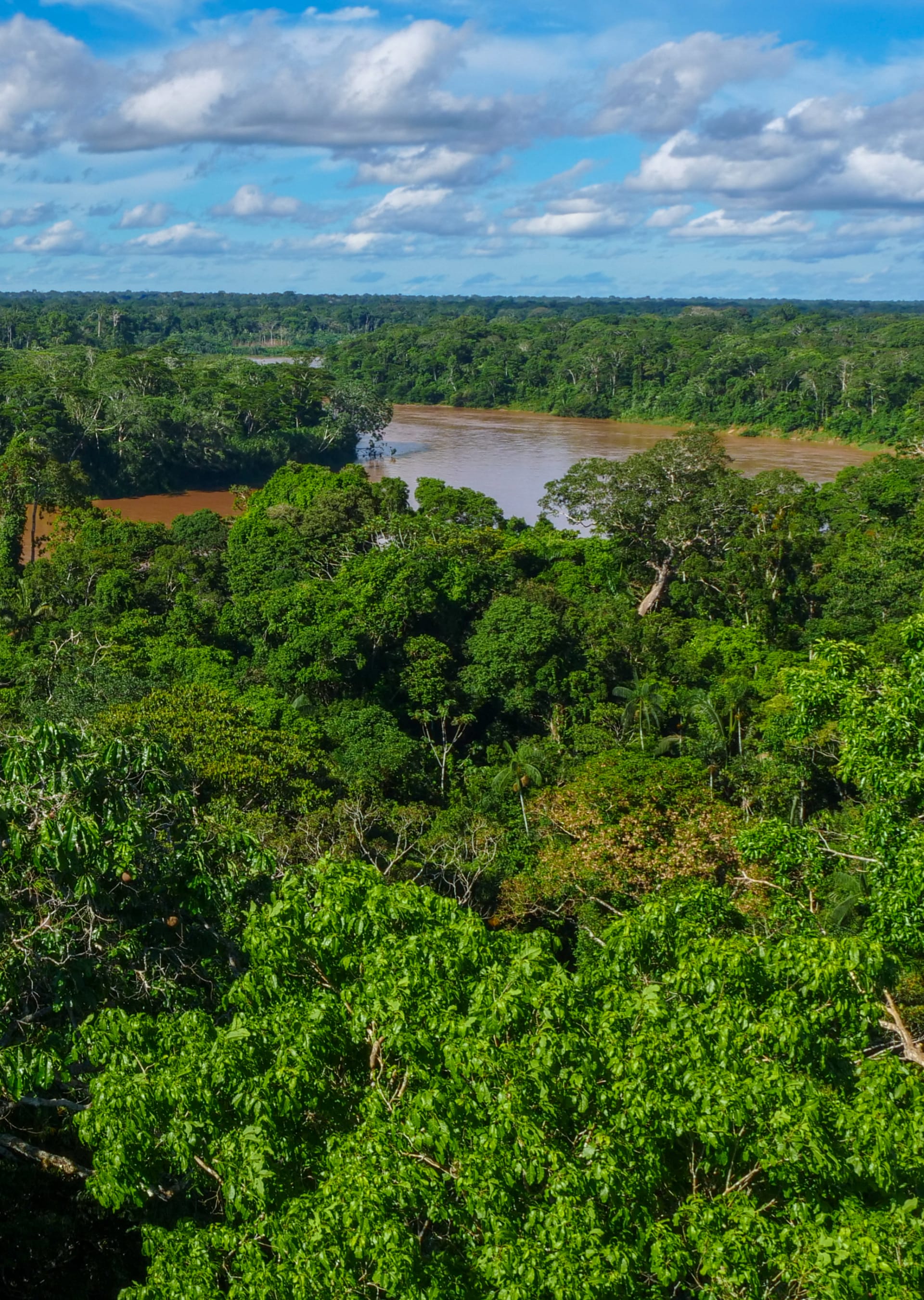 Vad Peru: Harc az életért