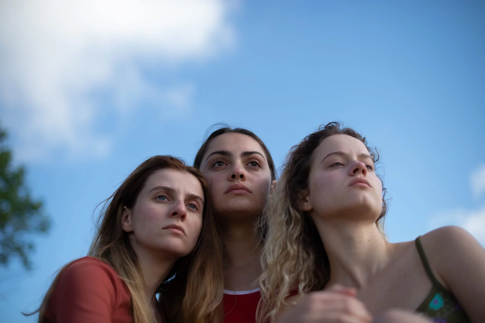 A domb, ahol az oroszlánok üvöltenek