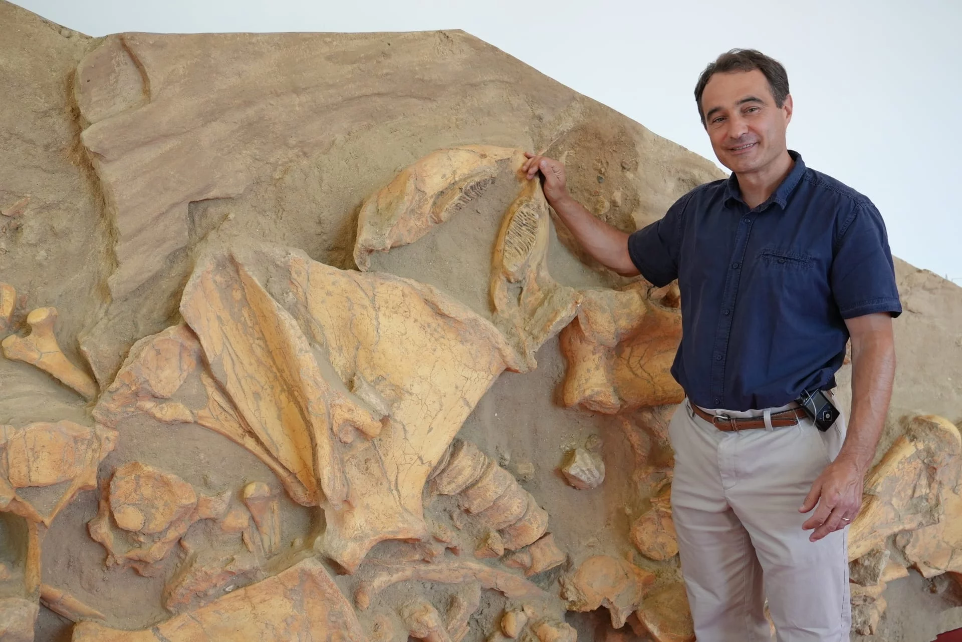 Elveszett vadak: Előásva / A Triceratops titkai