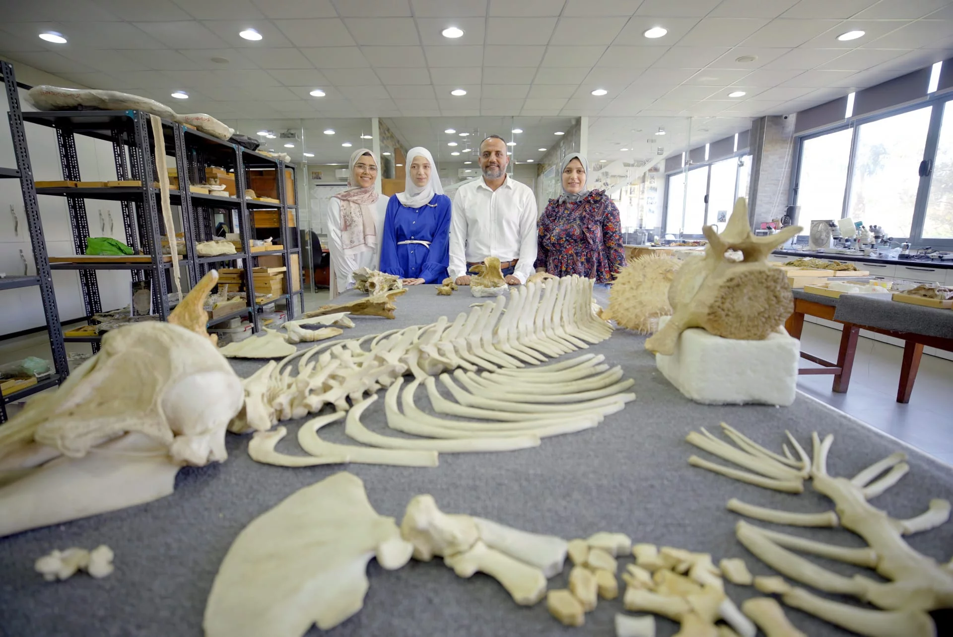 Elveszett vadak: Előásva / A Titanosaurus titkai