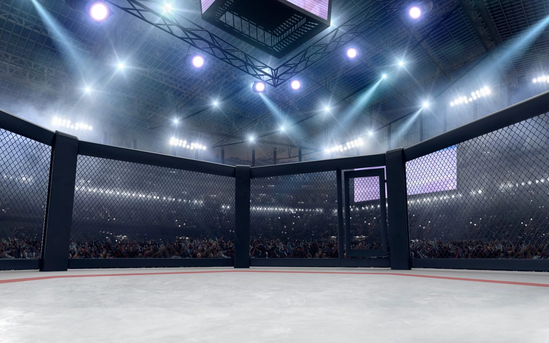 Hexagone MMA / Lyon