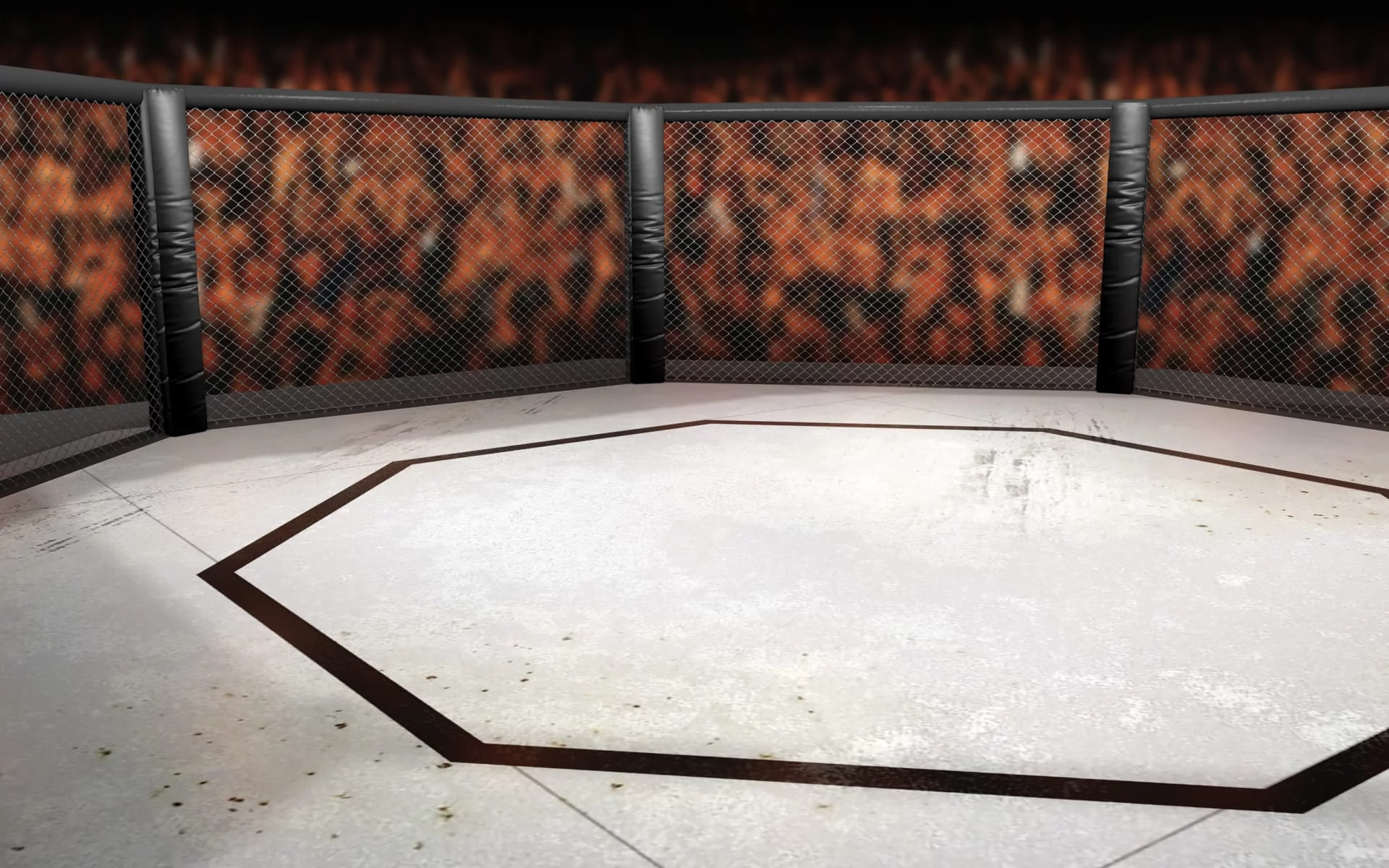 Hexagone MMA / Lyon