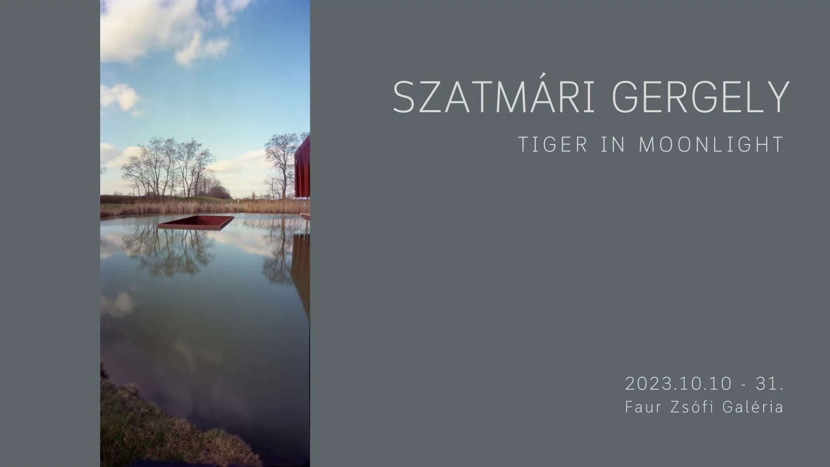 Szatmári Gergely: Tiger in Moonlight