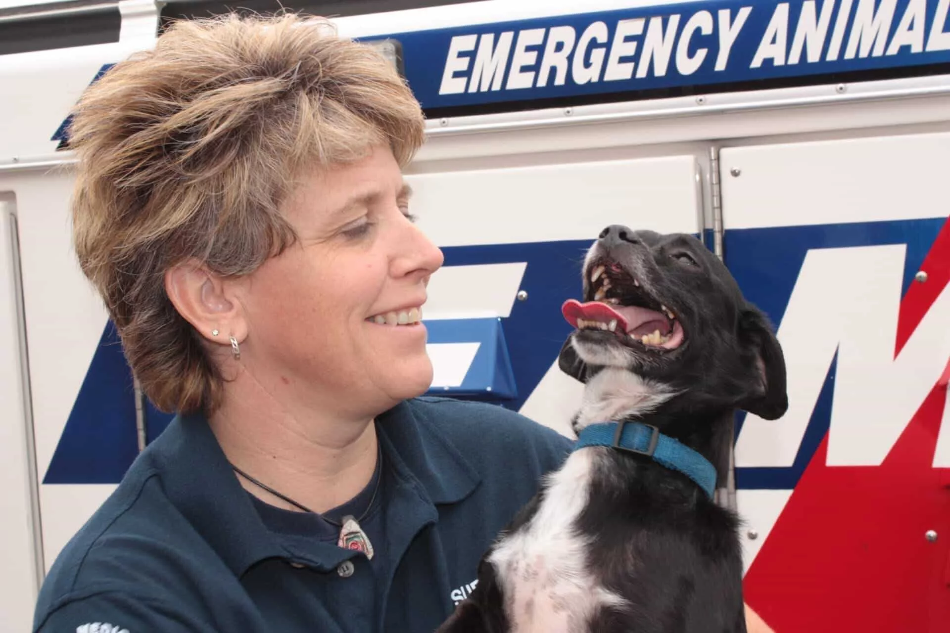 Phoenixi állatrendőrség / Kutyamentés a csatornában