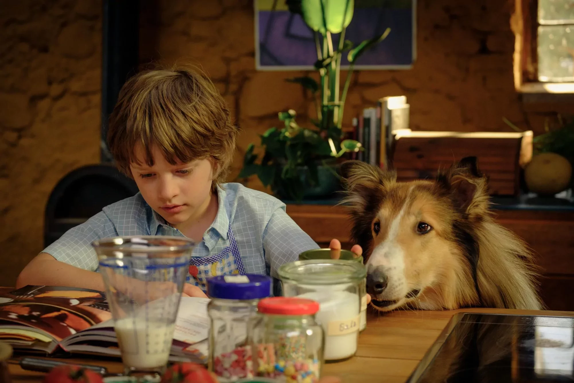 Lassie - Állati mentőakció