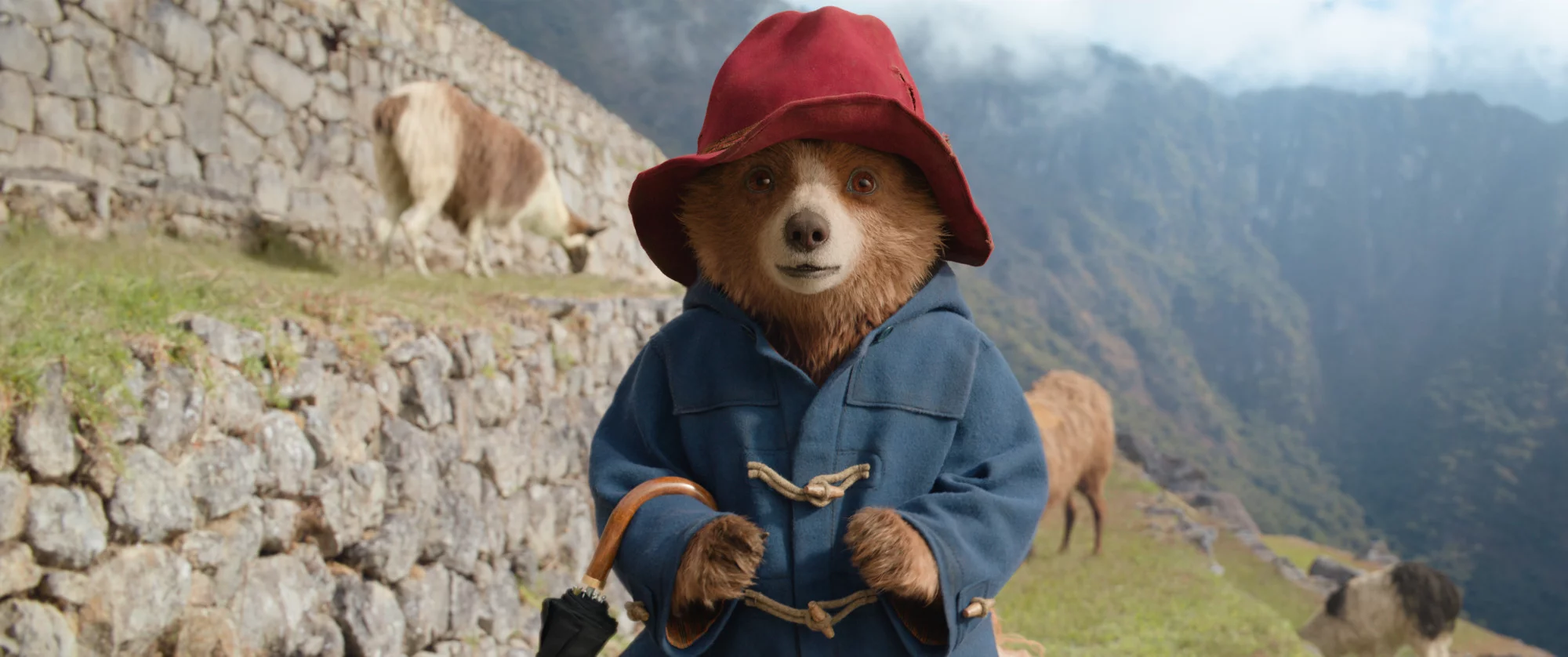 Paddington Peruban
