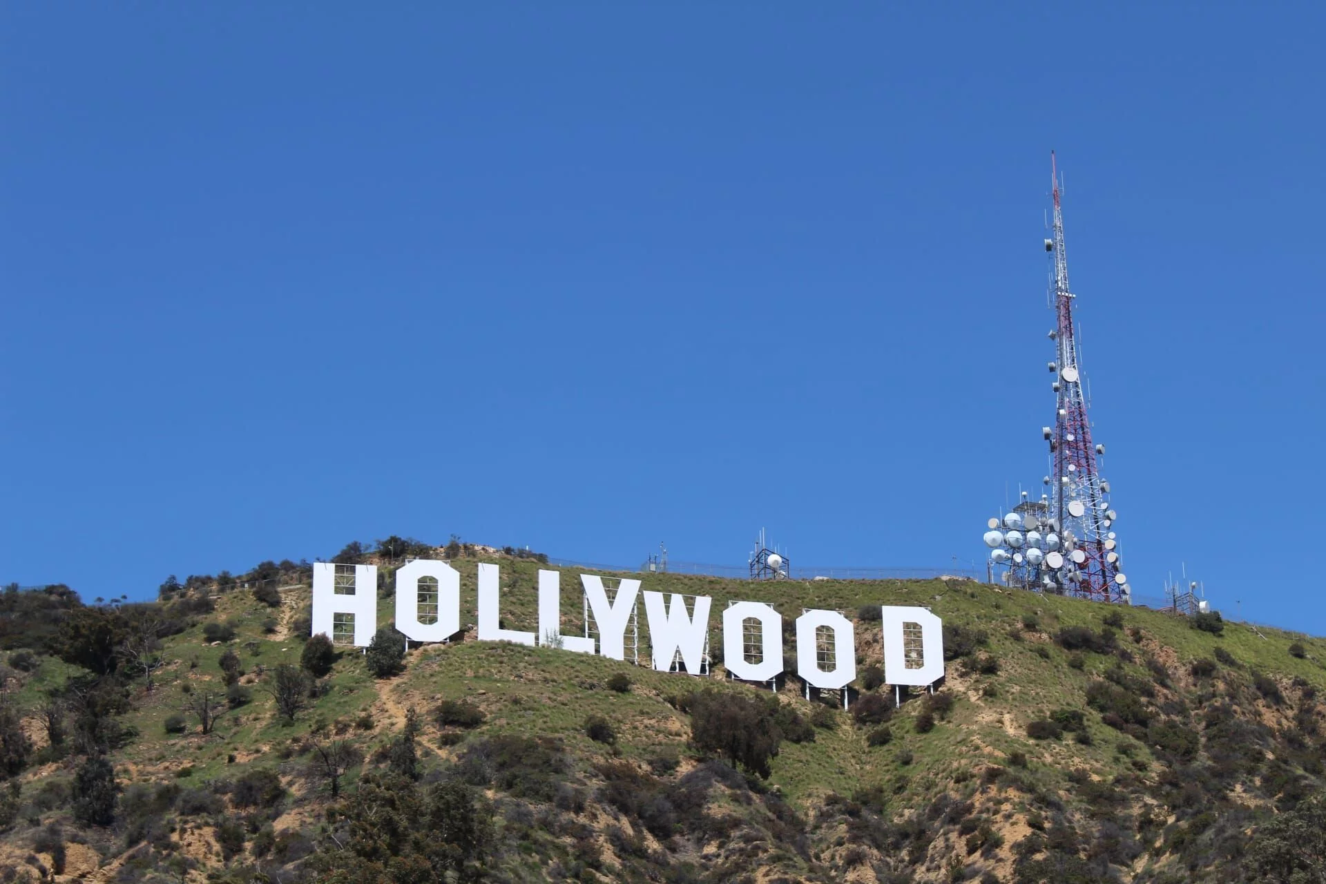 Hollywoodi démonok / Jerry! Jerry! Jerry!