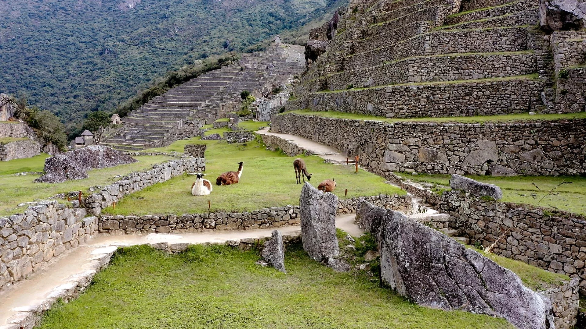 Machu Picchu, a kövek városa