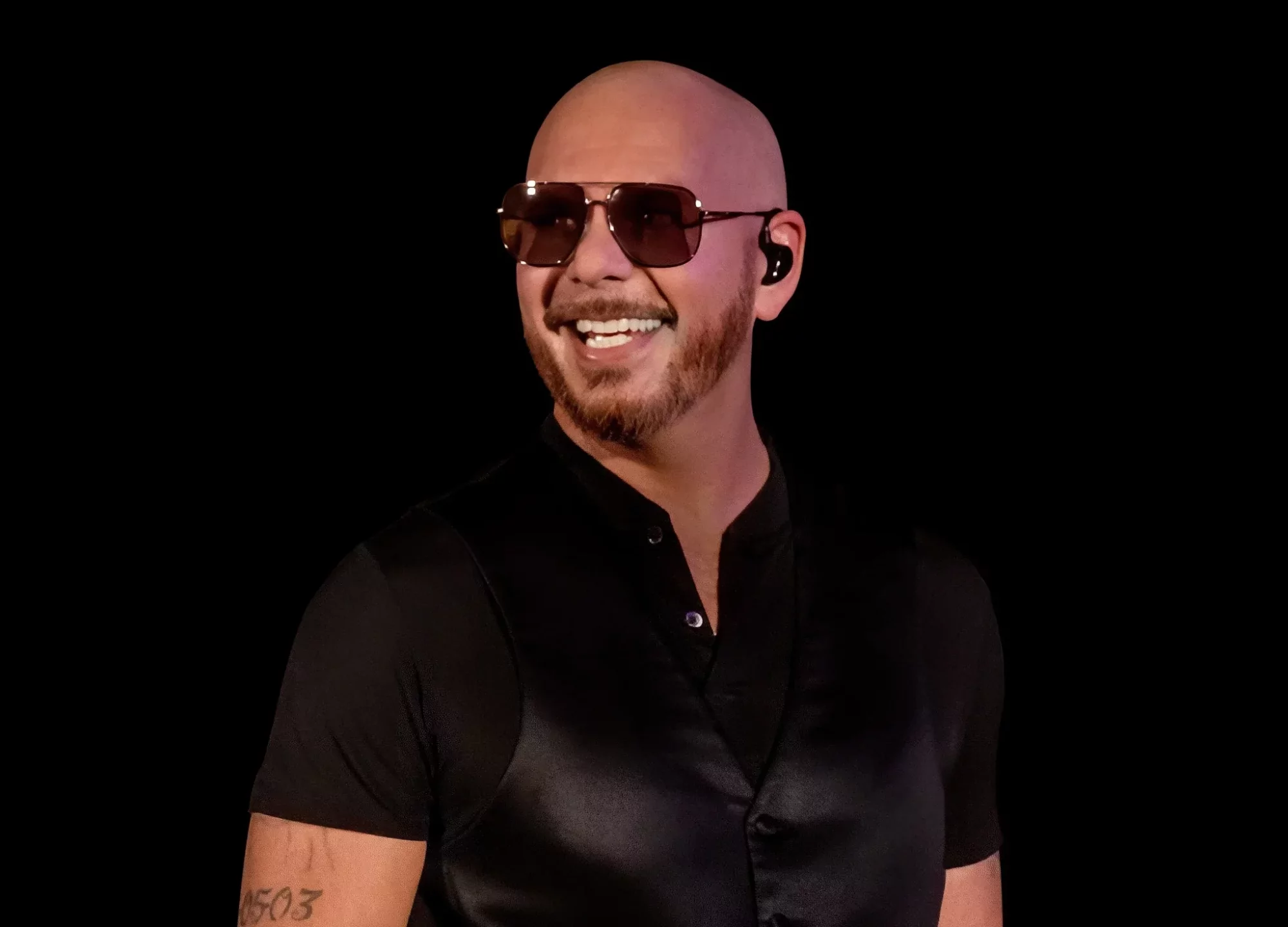 Pitbull