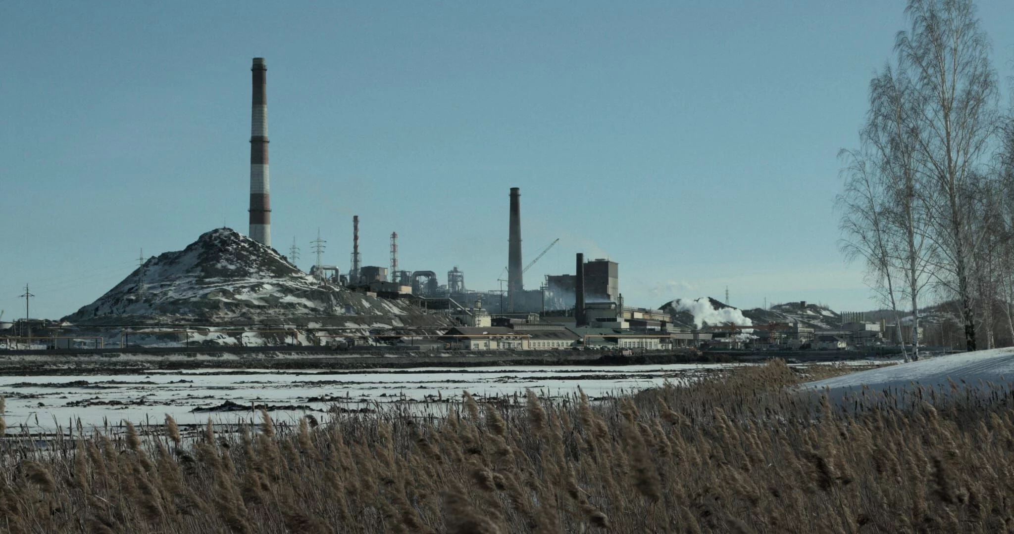 Senki tanár úr Putyin ellen