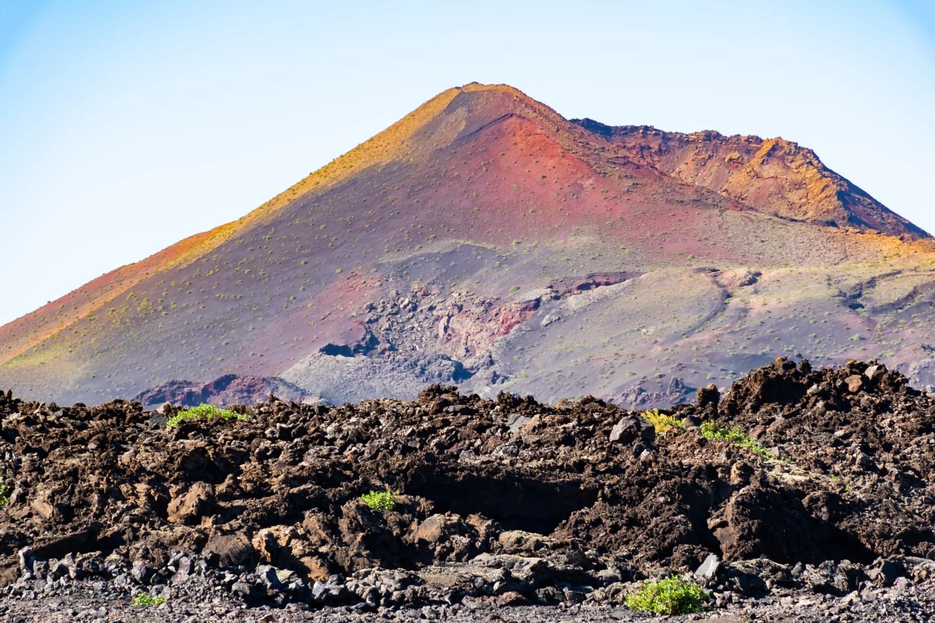 A Kanári-szigetek / Gran Canaria és Fuerteventura, ahol a fák, a szél ...