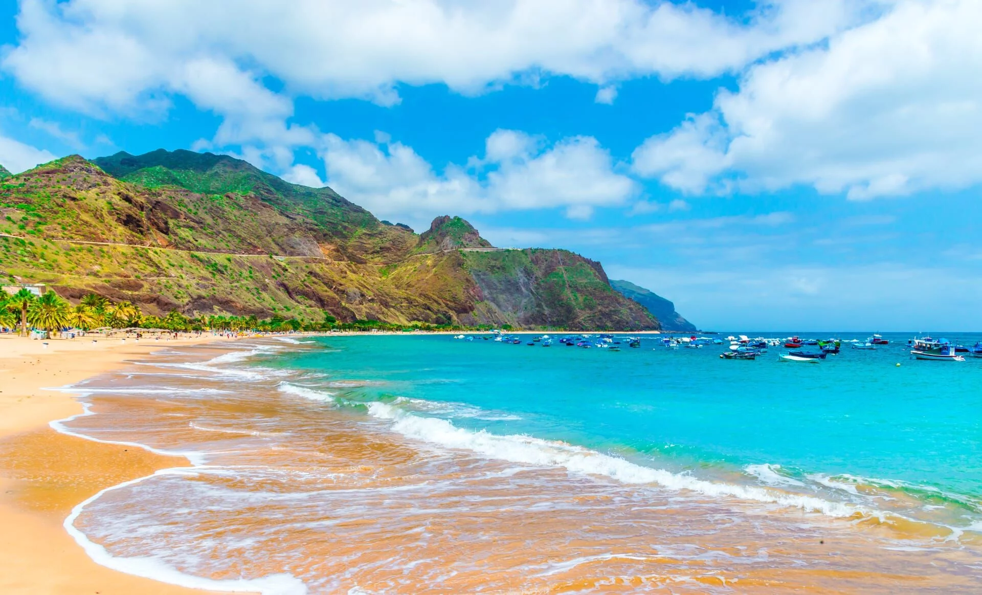 A Kanári-szigetek / Gran Canaria és Fuerteventura, ahol a fák, a szél ...
