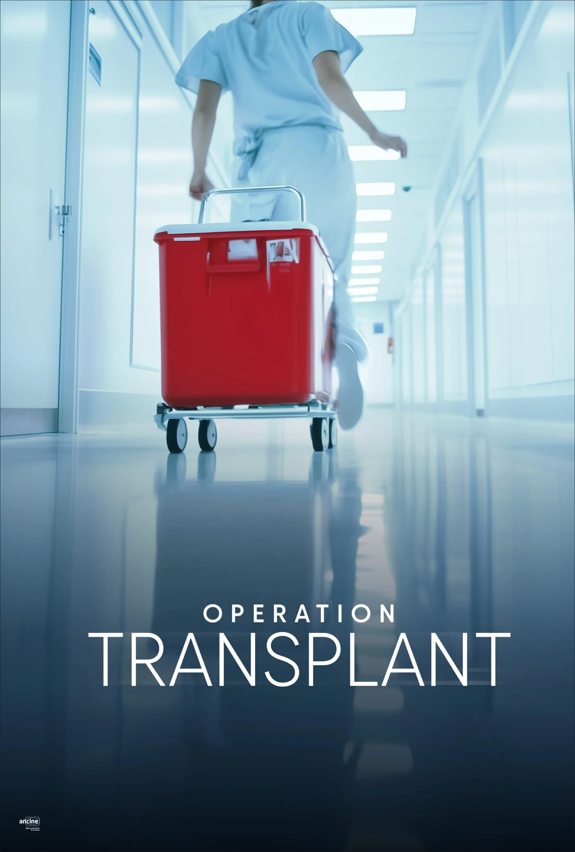 Szervátültetés / A transzplantáció mindent megváltoztathat