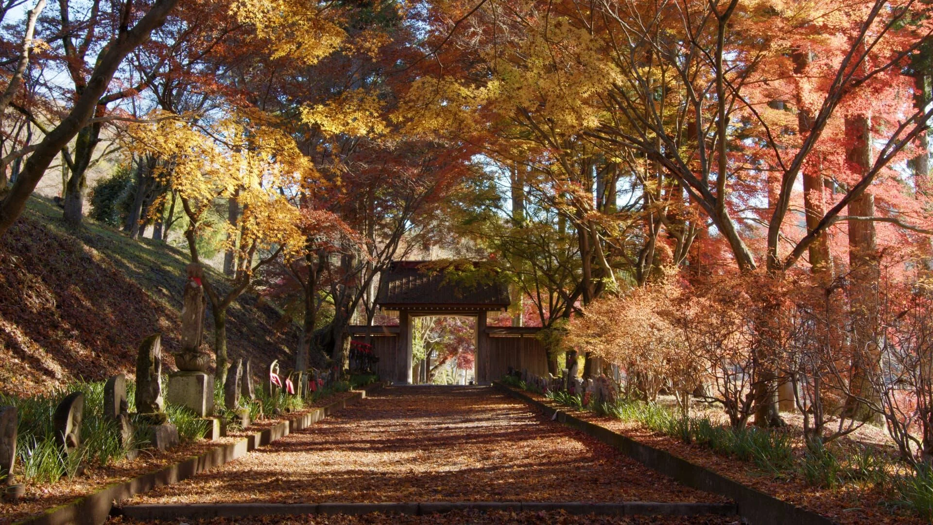 Japán - Érzékekkel teli évszakok II.