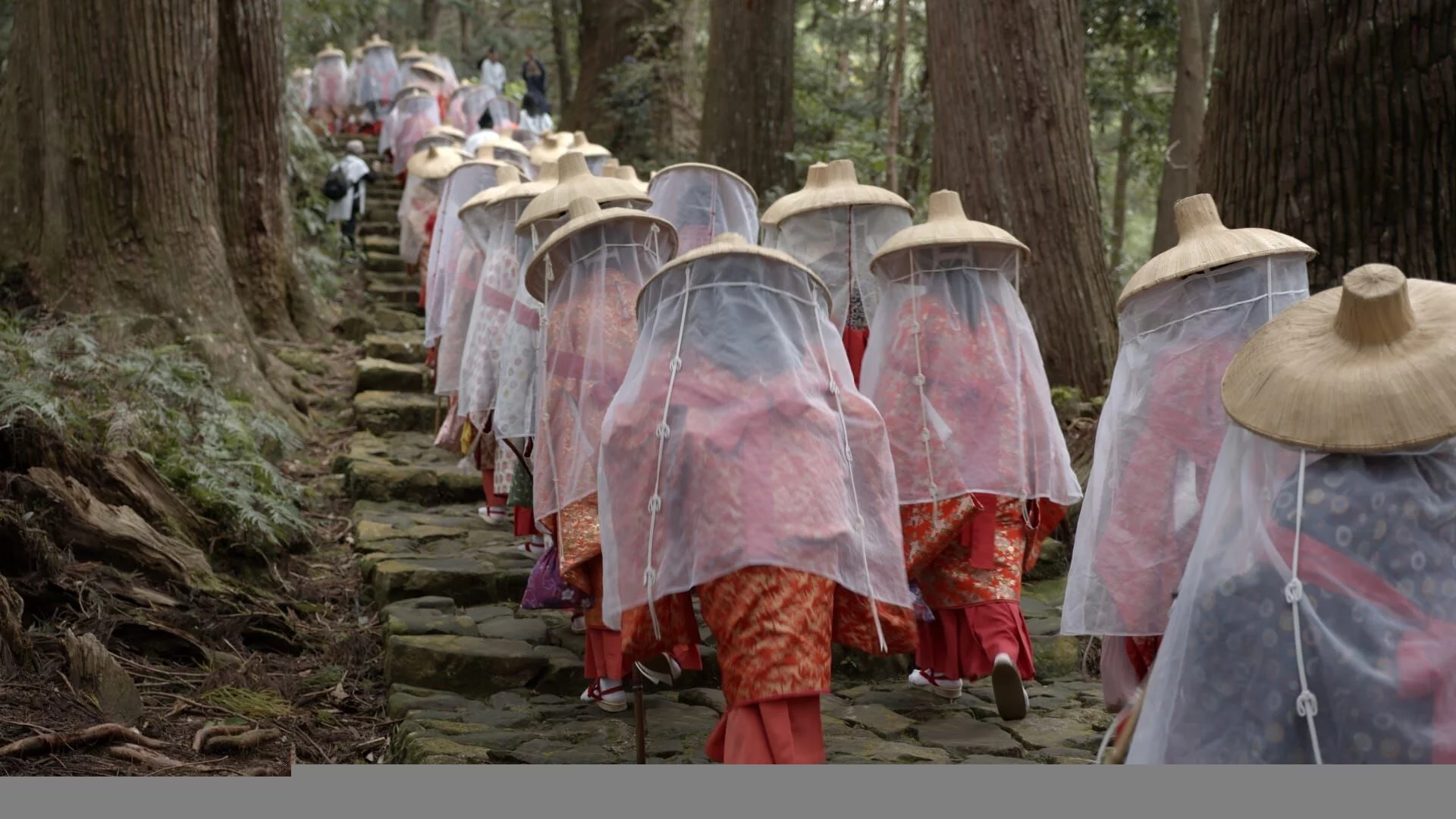 Japán - Érzékekkel teli évszakok II.