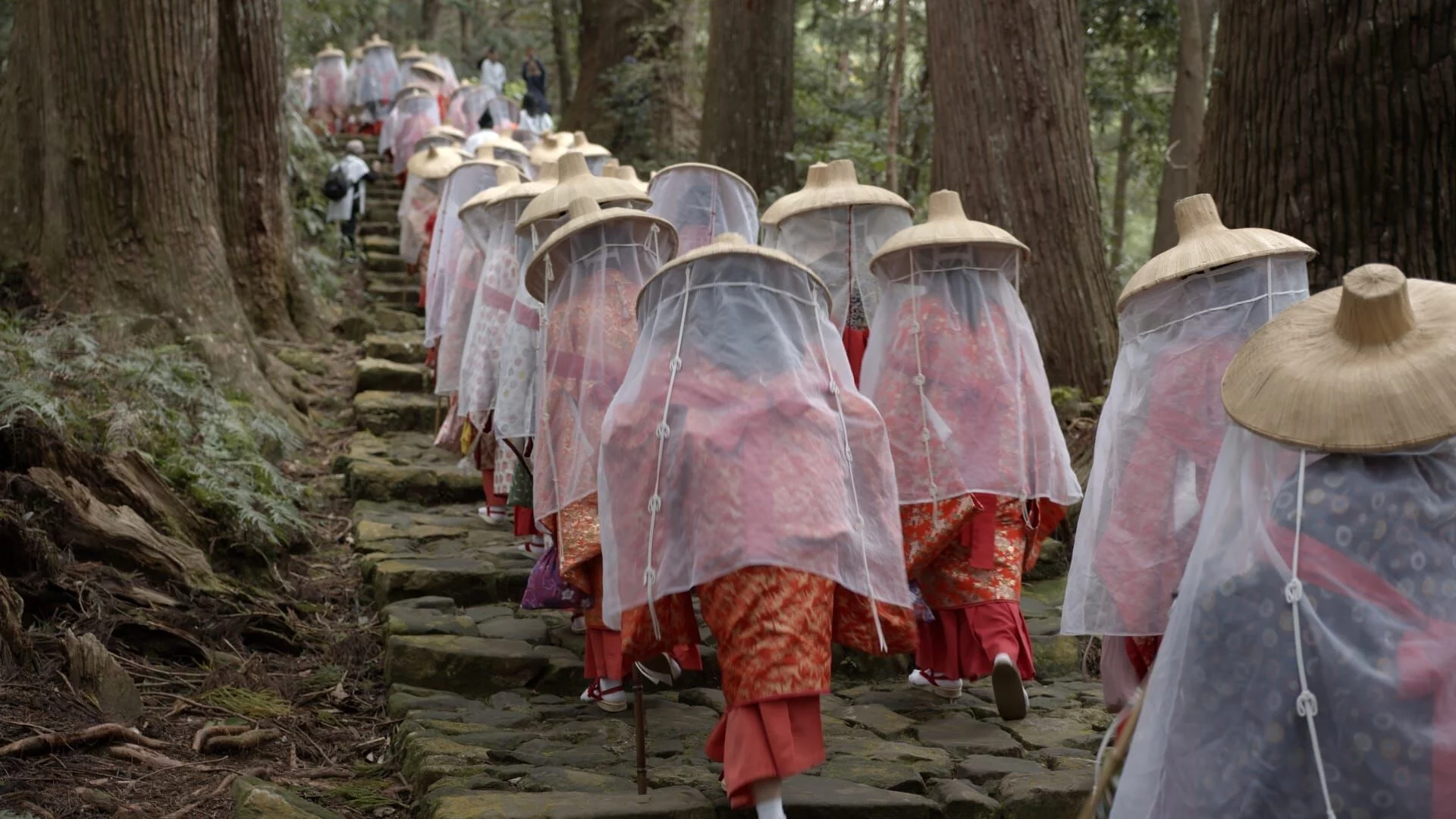 Japán - Érzékekkel teli évszakok II.